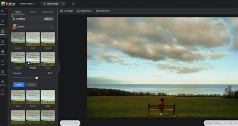 What Is Filter Definition Use Popular Genres And How To Use Them Fotor
