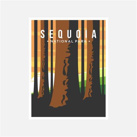 80 Grafiken Lizenzfreie Vektorgrafiken Und Clipart Zu Sequoia