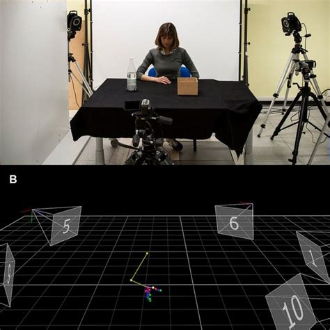 Techniques Used To Quantify The Influence Of Intention On Movement