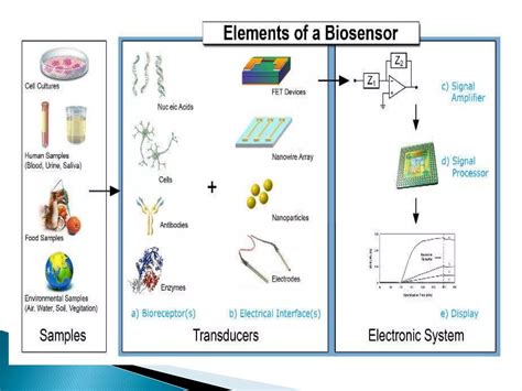 Biosensors And Its Application Pptx