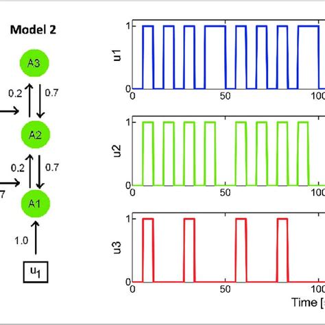 Connectivity Models Tested In The Simulations Model 1 With Forward