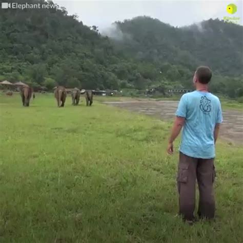 Joe Raimo Posted On Linkedin