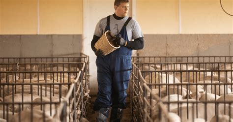 Joe Kerns Planning For Post Pandemic Success In Ag Alltech