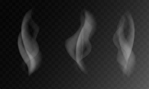 벡터 일러스트 레이 션의 연기나 증기 투명 한 배경에서 분리 설정 개념에 대한 스톡 벡터 아트 및 기타 이미지 개념 개체 그룹 검은색 Istock