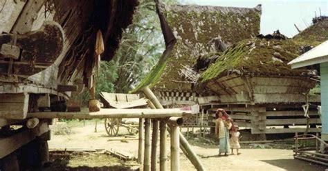 Merga Merga Di Suku Karo Bukan Cabang Dari Merga Silima Karo Gaul