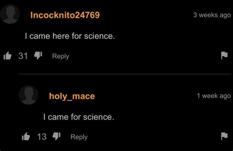 24 Bizarrely Out Of Context Comments Found On Adult Videos Barnorama