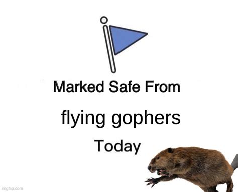 Gopher Memes And S Imgflip