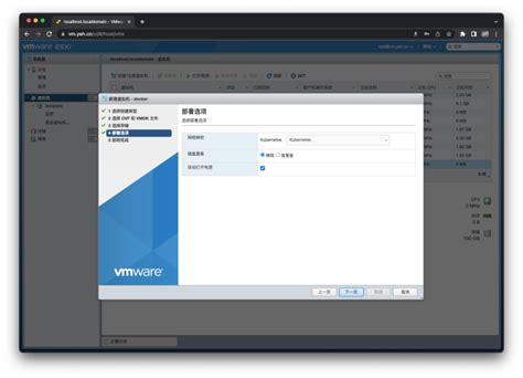 创建 ESXi 系统模板 CentralX