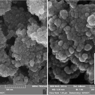 SEM Images Of TiO2 Particles At Two Magnifications Download Scientific Diagram
