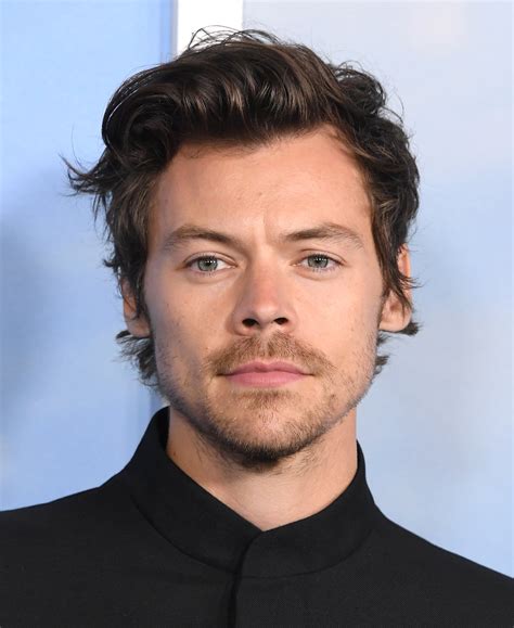 Harry Styless Buzz Cut Is Dividing The Internet Popsugar Beauty Uk
