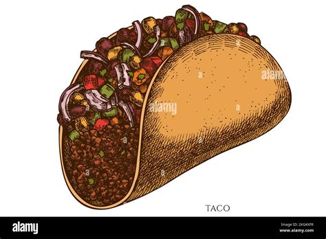 Street Food Hand Drawn Vector Illustrations Collection Colored Taco