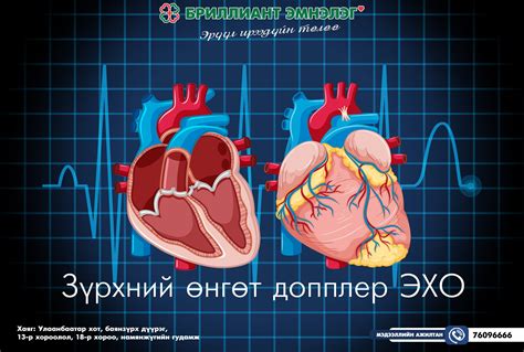 👩‍🔬ЗҮРХ СУДАСНЫ 👩‍🔬Зүрхний цахилгаан бичлэг 👩‍🔬Зүрхний өнгөт допплер