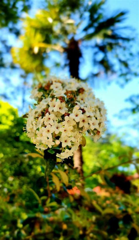 释放生命的无限可能 知乎