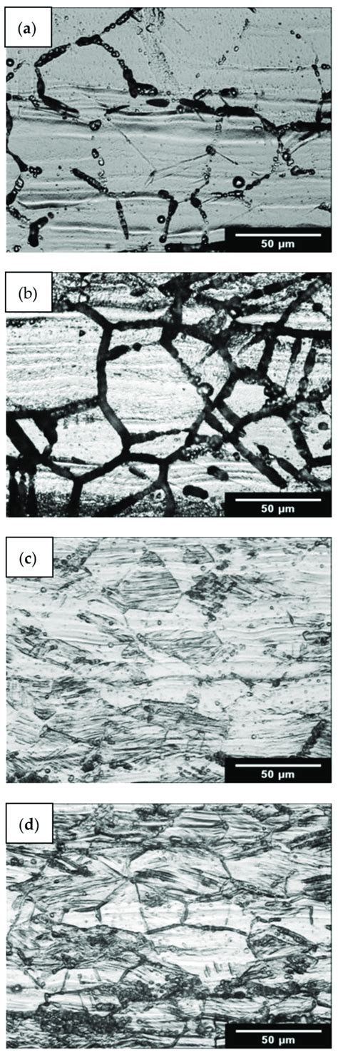 Results Of Oxalic Acid Etch Test For Aisi 316l A Aisi 316l 0 Cw