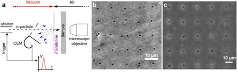 Cr39 Track Detectors Irradiated With Counted α Particles A The Bncd Download Scientific
