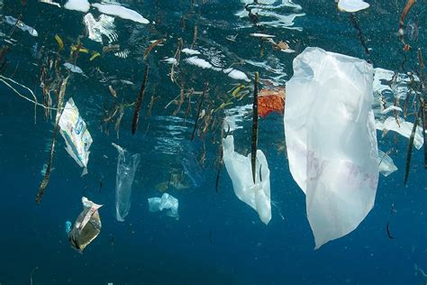 Great Pacific Garbage Patch