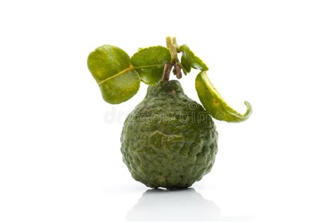 Fresh Kaffir Lime With Leaf Isolated On White Background Stock Image