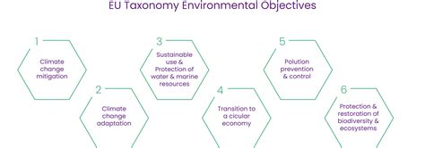 An Introduction To The Eu Taxonomy Regulation Findings