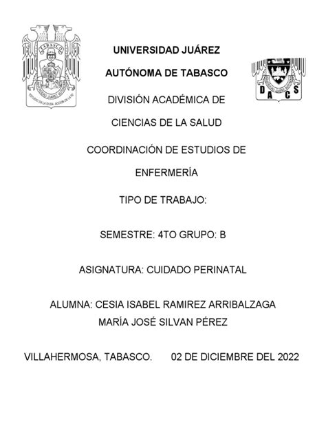 Consulta Precon Formato Pdf