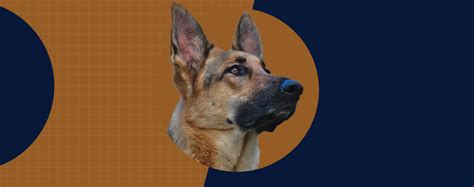 навчальний рік 2022 23