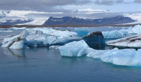 북극해 식물성 플랑크톤 급격히 감소 중