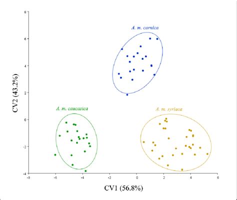 3 Canonical Variate Analysis Cva According To The Landmarks On The