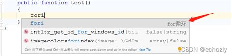 Phpstorm 利用实时模板实现常用代码的快速编写php Storm 快速创建函数 Csdn博客