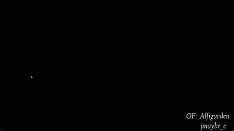 Perfect Hairy Pussies