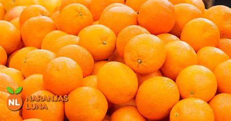 ¿por Qué Deberías Comer Más Naranjas Naranjas Luna