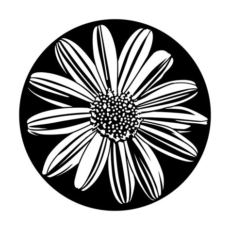 Me 1162 Simply Daisy