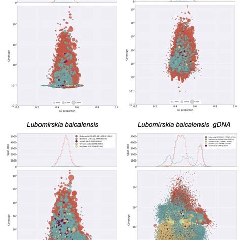Blobplot Results Showing Distribution Of Annotated Contigs According
