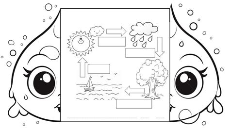 O Ciclo Da Agua Para Colorir My Xxx Hot Girl