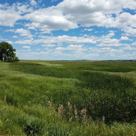 Lacreek National Wildlife Refuge All You Should Know Before Going