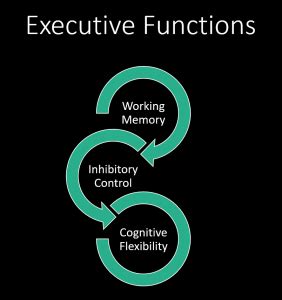 Cognitive Skills Working Memory