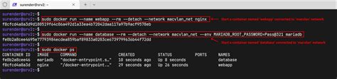 Macvlan Network Driver Assign Mac Address To Docker Containers 4sysops