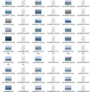 Sample Images With XML Files Download Scientific Diagram