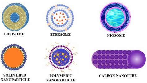 Vesicle Nano Transdermal Patch Development Cd Formulation