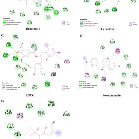 Predicted Top Five Ligand Binding Pocket Information According To Castp