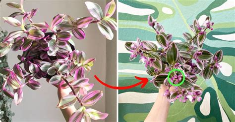 9 Popular Insect Bites And How To Identify Treat And Prevent Them