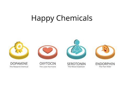 Premium Vector Serotonin Dopamine Oxytocin Endorphins Are Happy