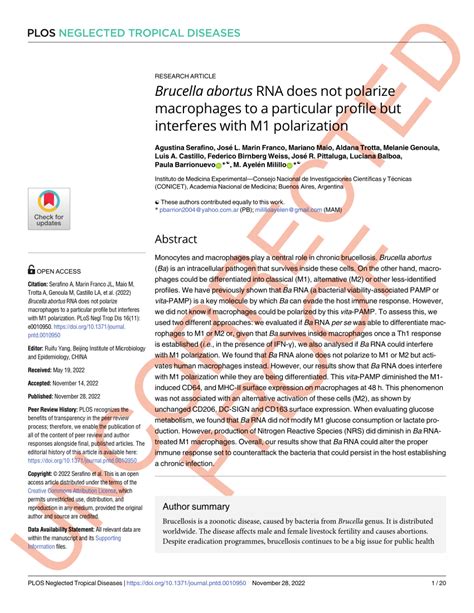 Pdf Brucella Abortus Rna Does Not Polarize Macrophages To A Particular Profile But Interferes