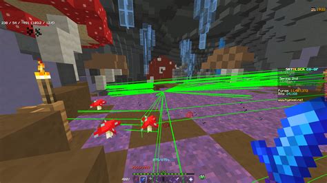 Can Someone Explain Why This Happens With Soopy Hypixel Forums