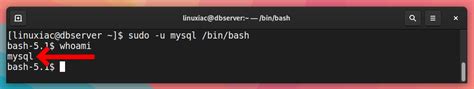 mysql root password reset in 3 simple steps