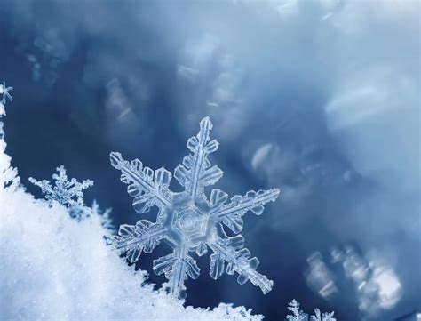 The Worlds Largest Snowflake And Other Interesting Snow Facts Apukka