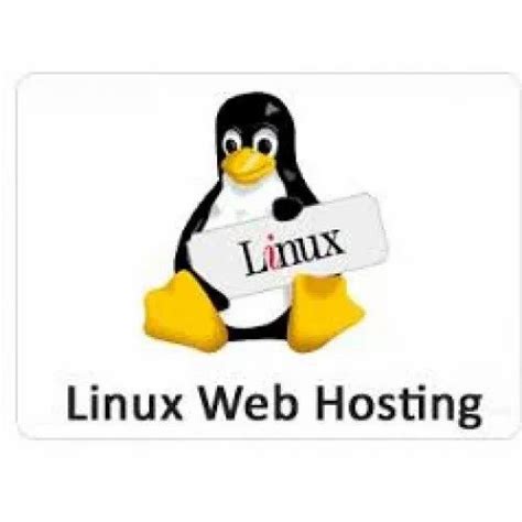 Linux Server Hosting At Best Price In Secunderabad ID