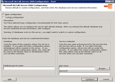 What Is The Difference Between Basic And Custom Configuration Of Biztalk Server Hooking Stuff