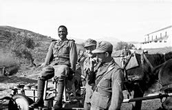Persecution Of Black People In Nazi Germany Wikipedia