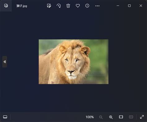 Onnx Runtime入门示例：在c中使用resnet50v2进行图像识别resnet50 V2 7onnx Csdn博客
