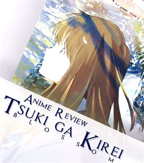 Review My Kirei Review Referensi · News