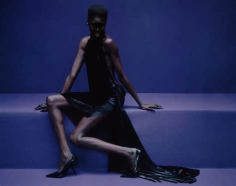 Picture Of Alek Wek